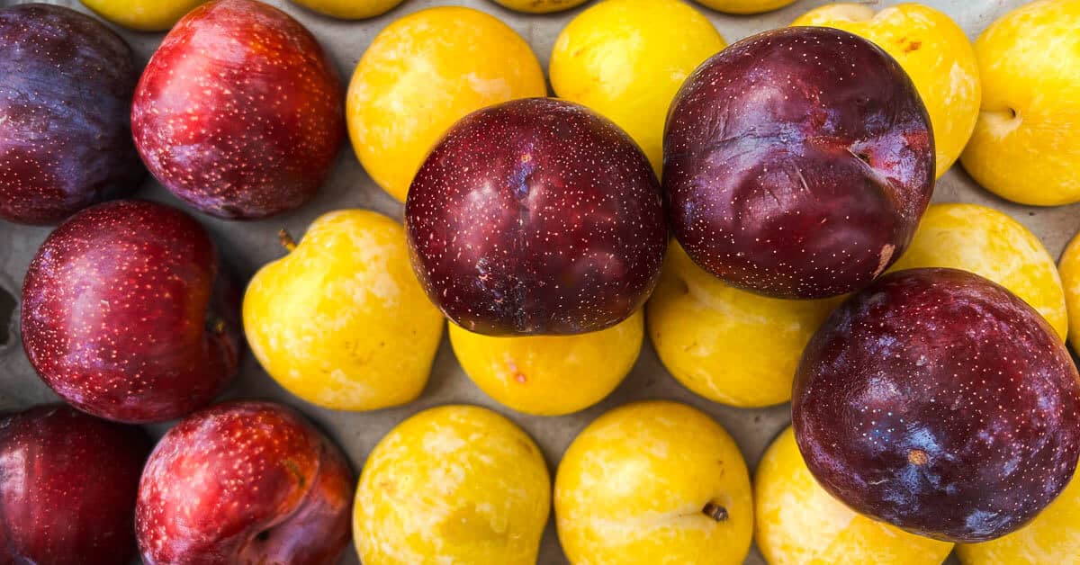 Fruta de Temporada en Mayo | Nómadas Gourmet